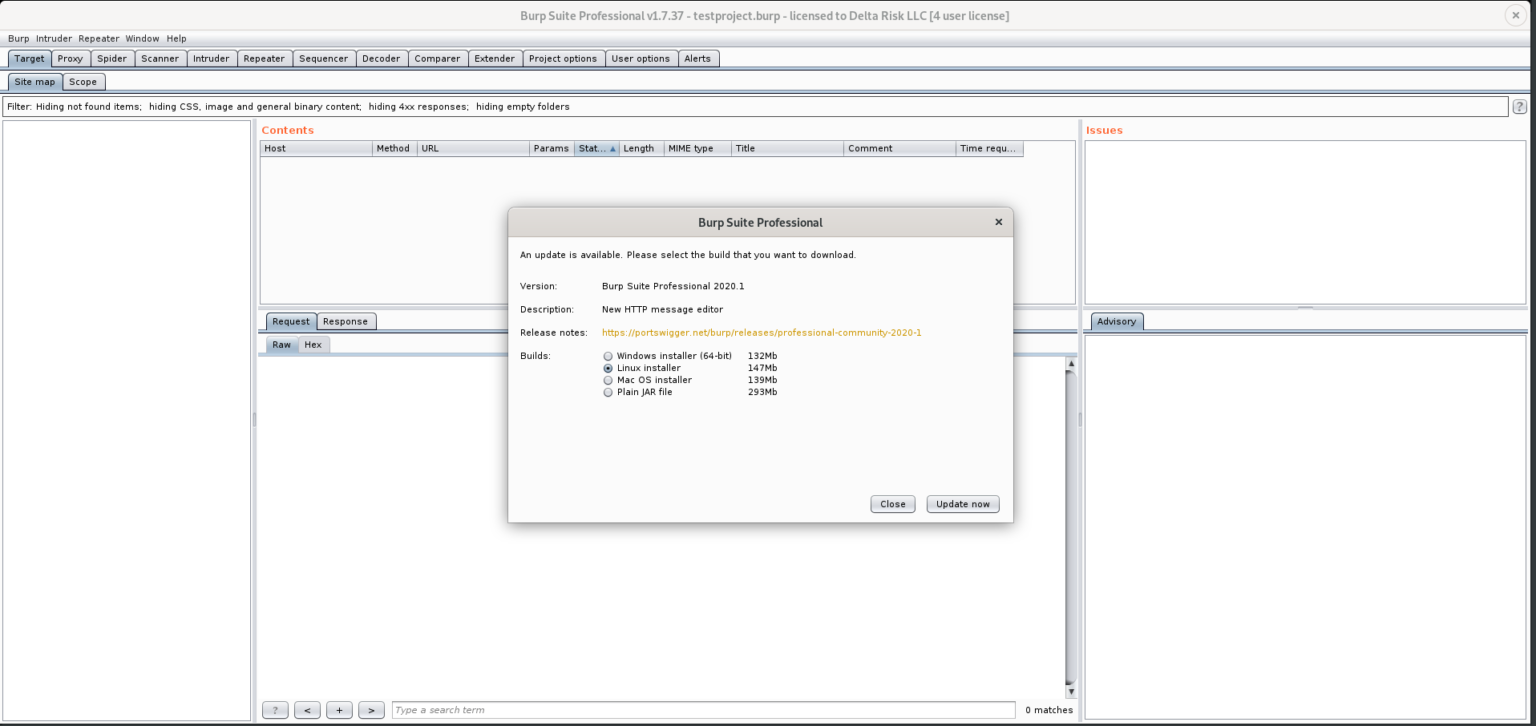 Burp Suite Professional for Web Application Security
