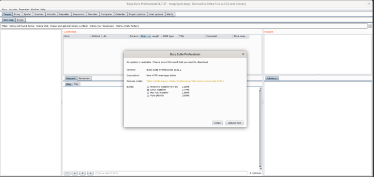 Burp Suite Professional for Web Application Security